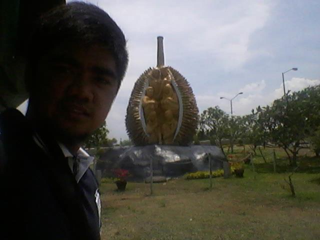 Ronald Payawal Portfolio